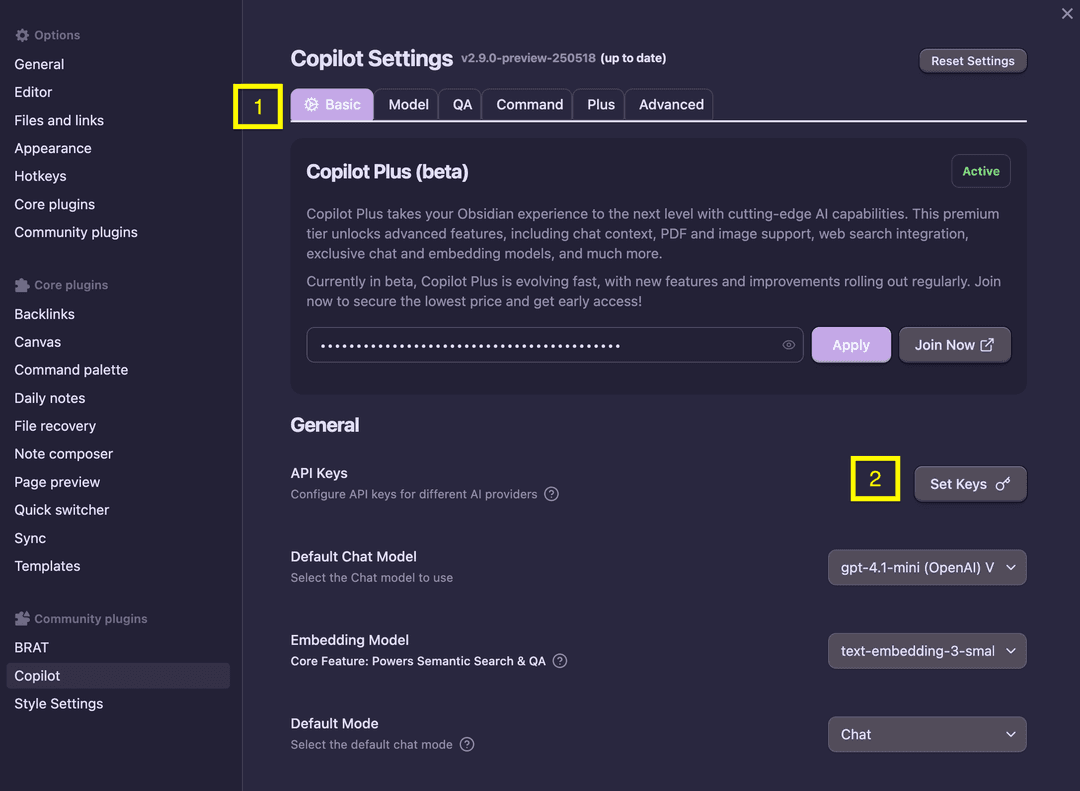 Copilot Settings | Copilot for Obsidian