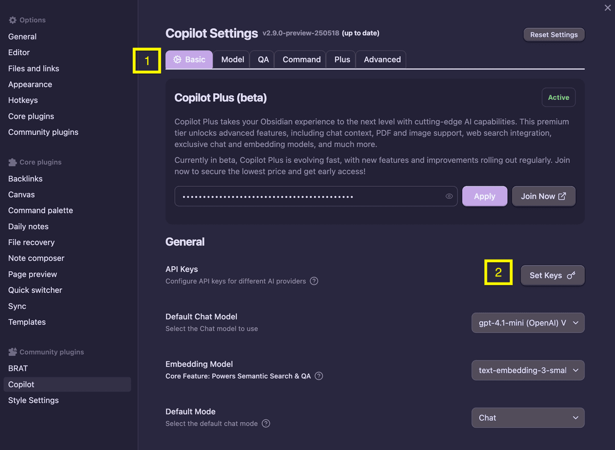 Copilot Settings | Copilot for Obsidian