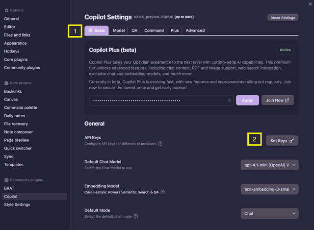 Copilot Settings | Copilot for Obsidian